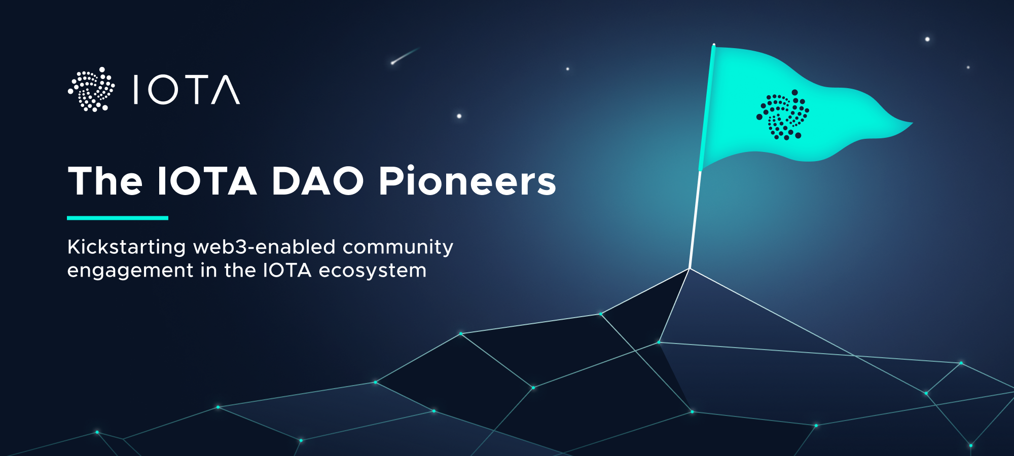 The IOTA DAO Pioneers