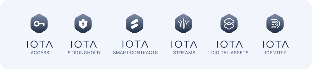 An Introduction to the Business Ecosystem of IOTA