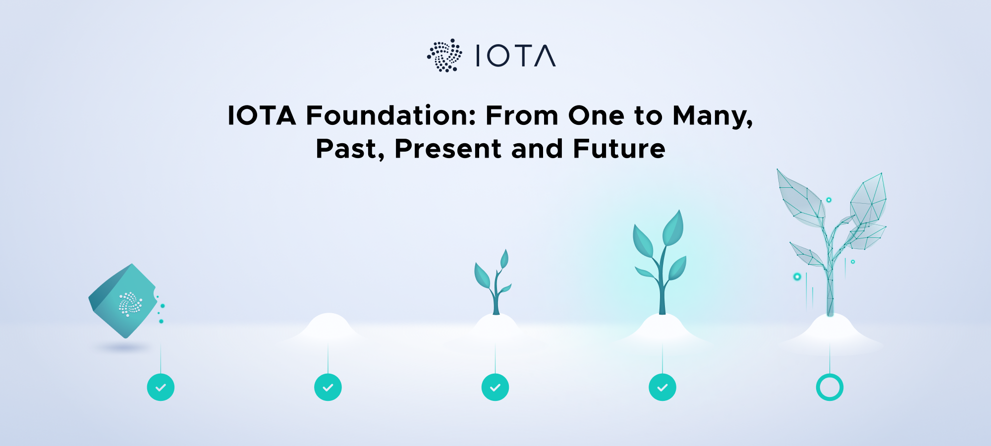 IOTA Foundation: From One to Many